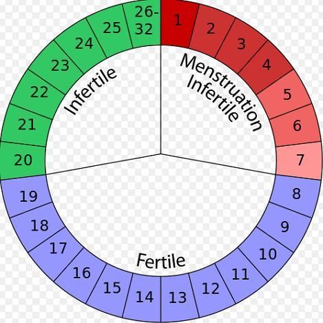 dias fertiles | Consultorio de mujer
